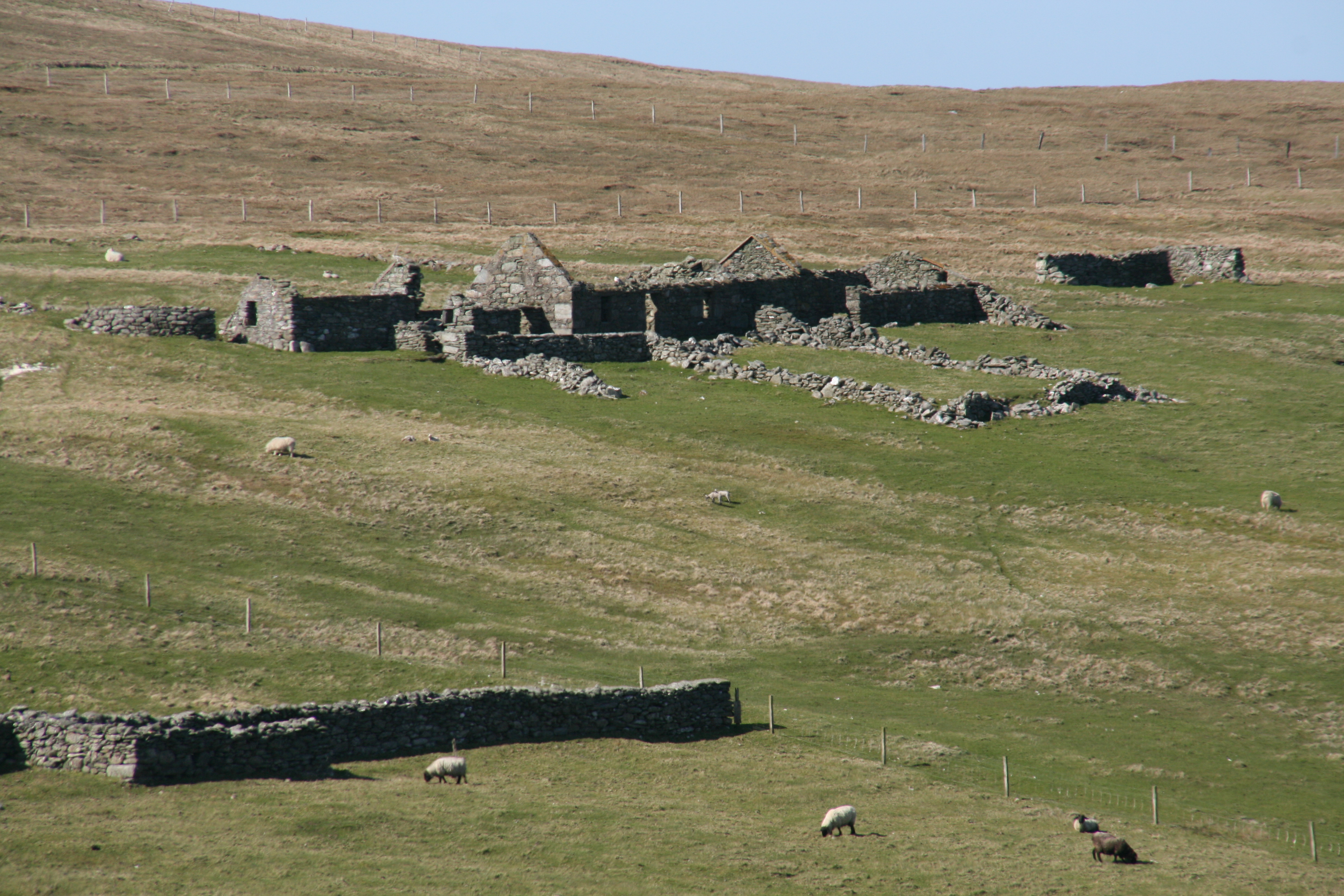 Rare Ancestral Variant found in VIKING Health Study | VIKING Genes ...