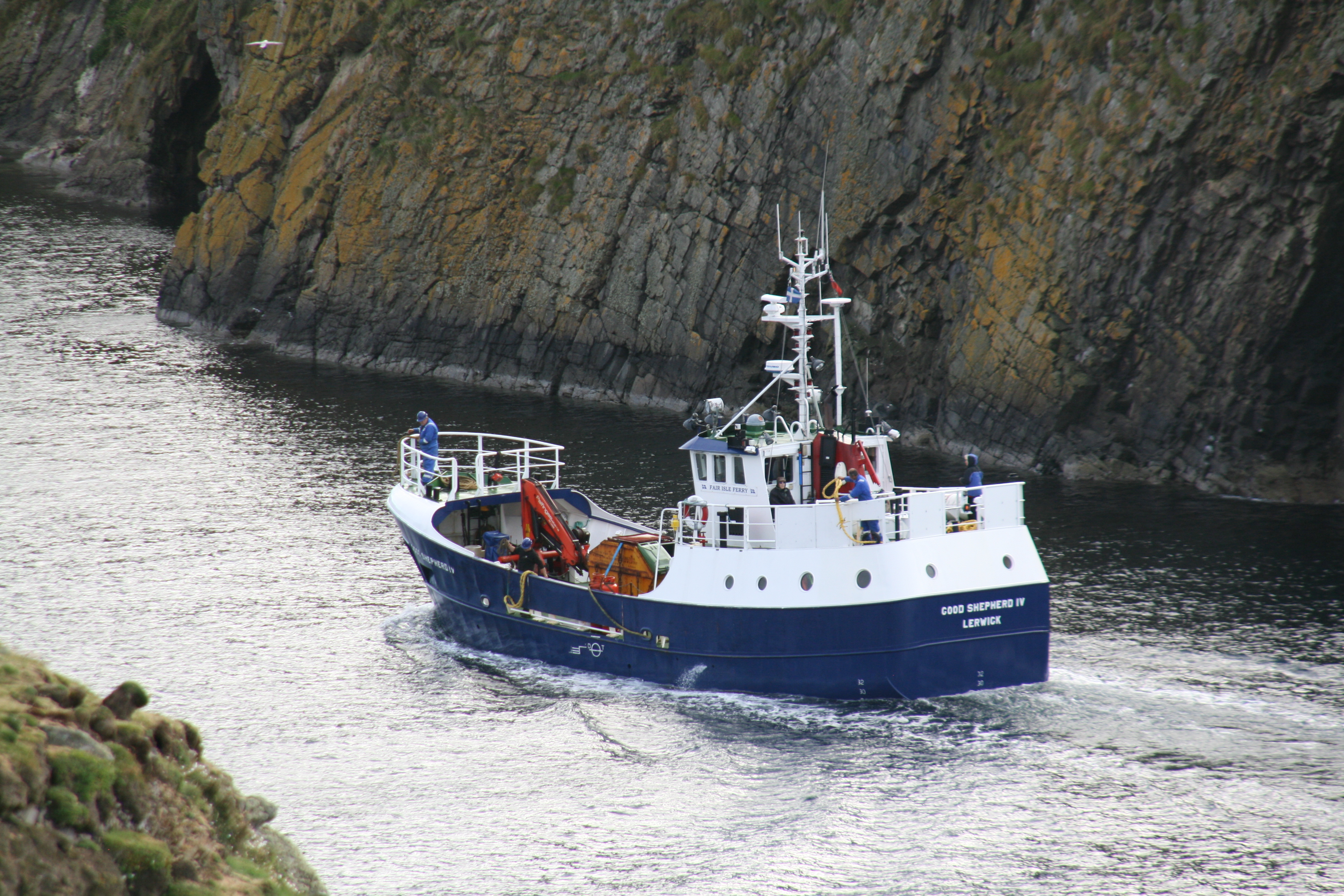 Our Studies | VIKING Genes | Viking Genes