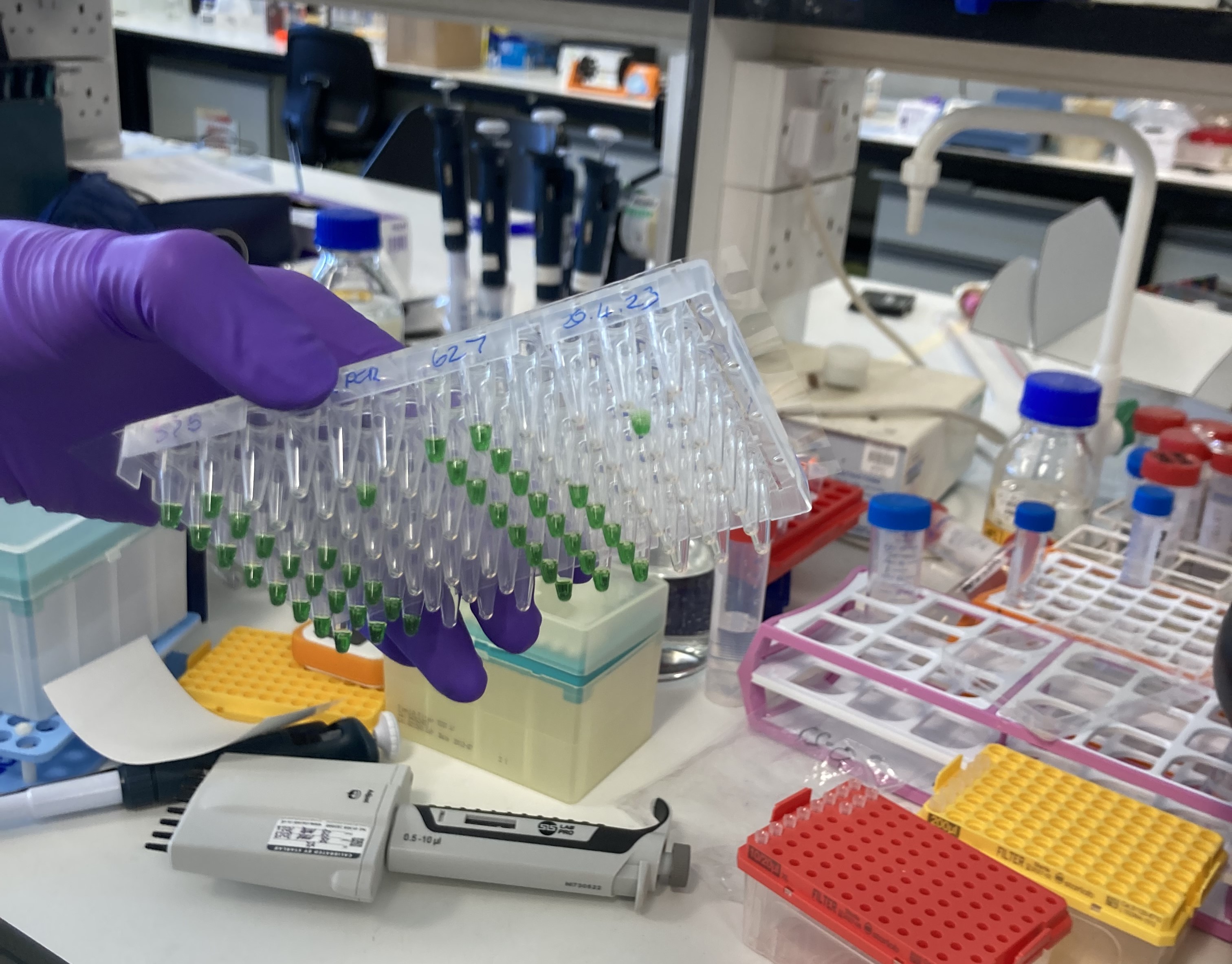 Returning Actionable Findings | VIKING Genes | Viking Genes